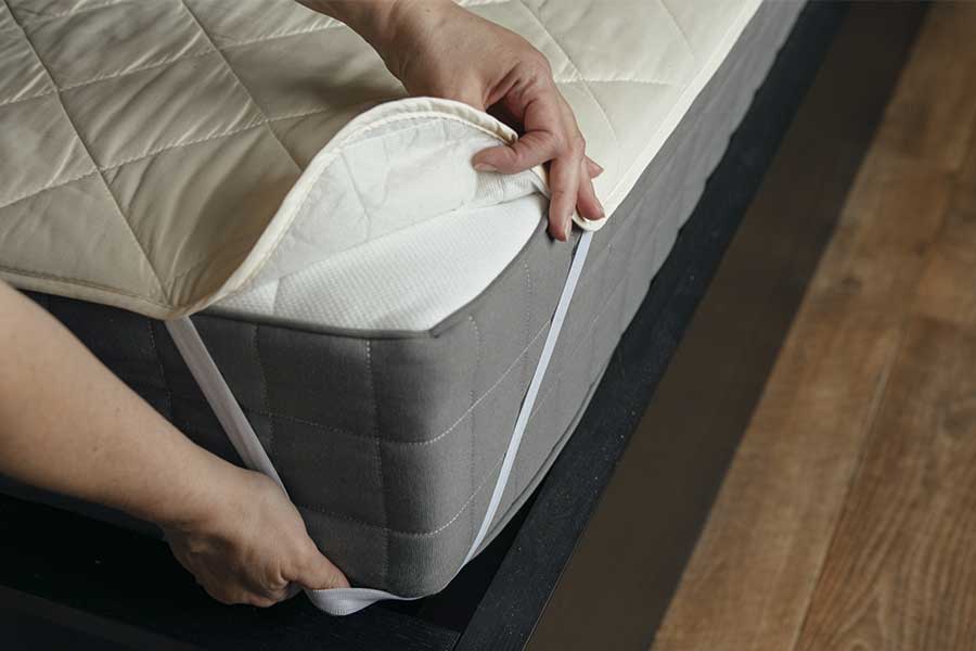 Learn More About Bed Bugs from [company] | [city] Bed Bug Control